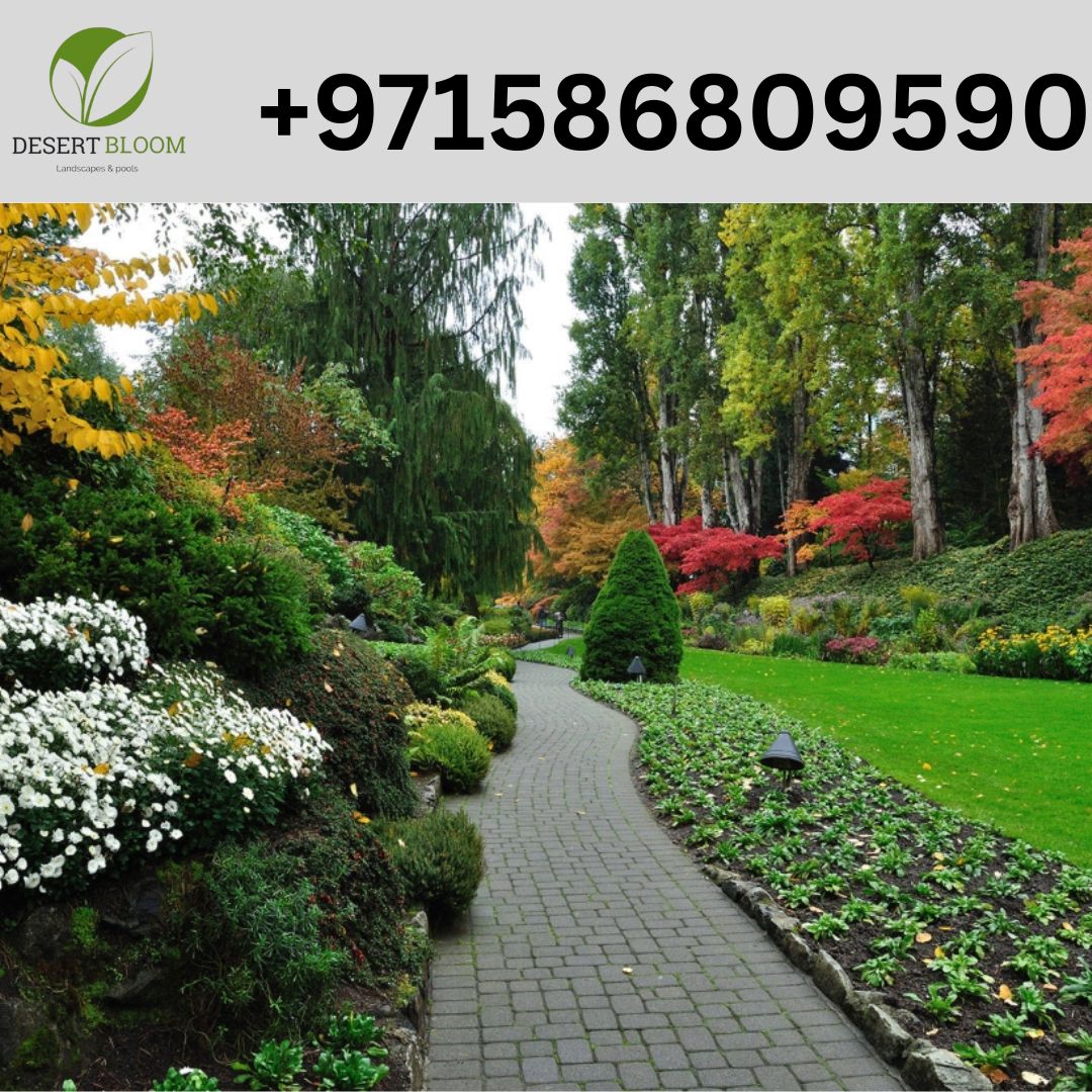 Garden Landscaping Archives - desert bloom landscapes