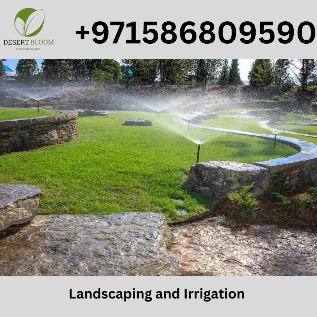 Leading & Best Landscaping and Irrigation company in Ajman - desert bloom landscapes